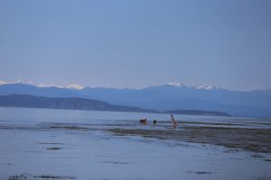 Qualicum Beach - Vancouver Island Planner